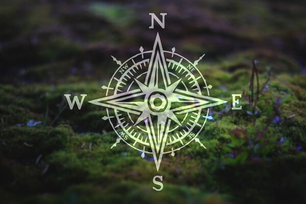 Strange Motion Limited Co - Compass Rose Vinyl Decal | 276 - Military ...