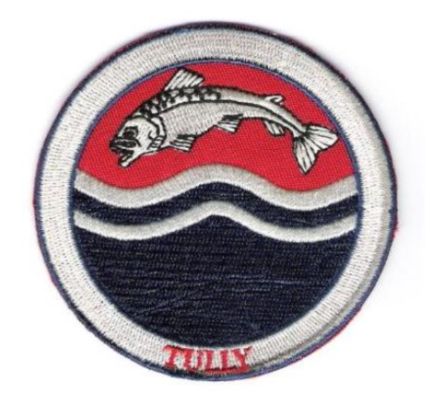 POPnBeards - Dark Horse: Patches (GOT), Tully - Military & First ...