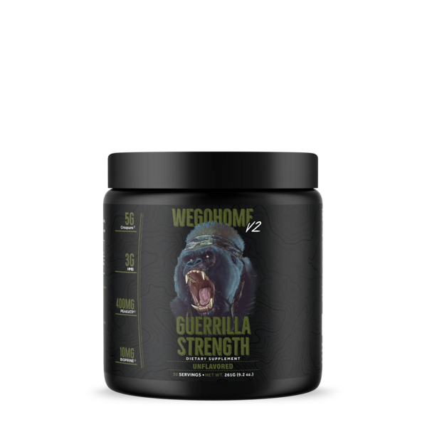 We Go Home - Guerrilla Strength V2 - Military & First Responder ...