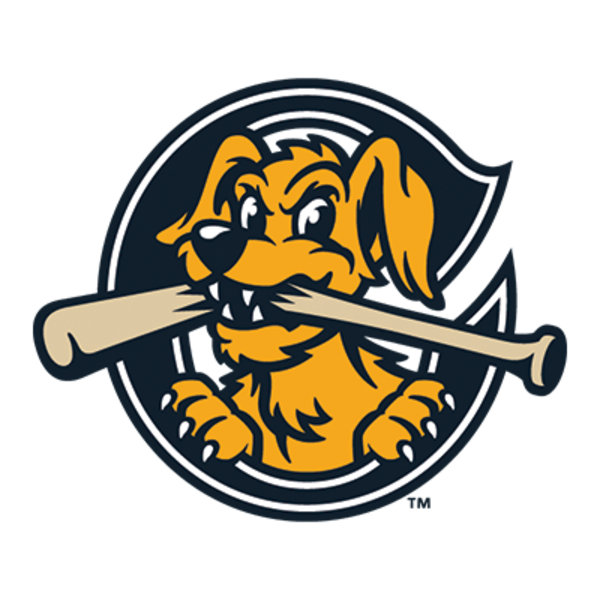 Shop Charleston RiverDogs Government & Military Discounts | GOVX